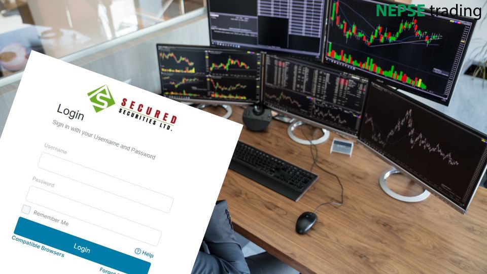 Broker Companies to Launch Their Own Trade Management System (TMS ...